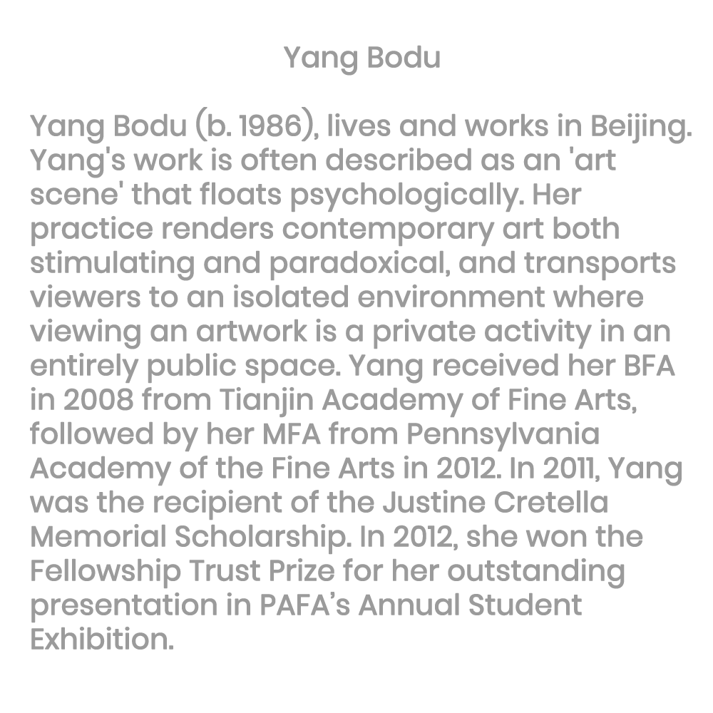X Museum Triennial: 杨伯都 YANG Bodu